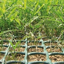 Zatrávňovacie rohože | GEOmall.sk